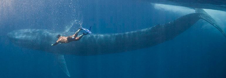 Underwater videographer Patrick Dykstra is taking over @suuntodive Ins