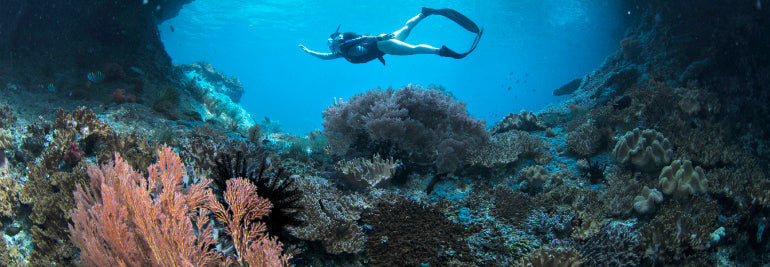 5 inspiring coral reef restoration projects